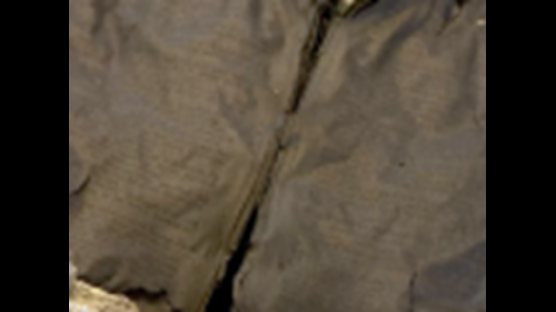 Bible Found Opened To Psalm 106 And 107 One Of Few Objects To Survive