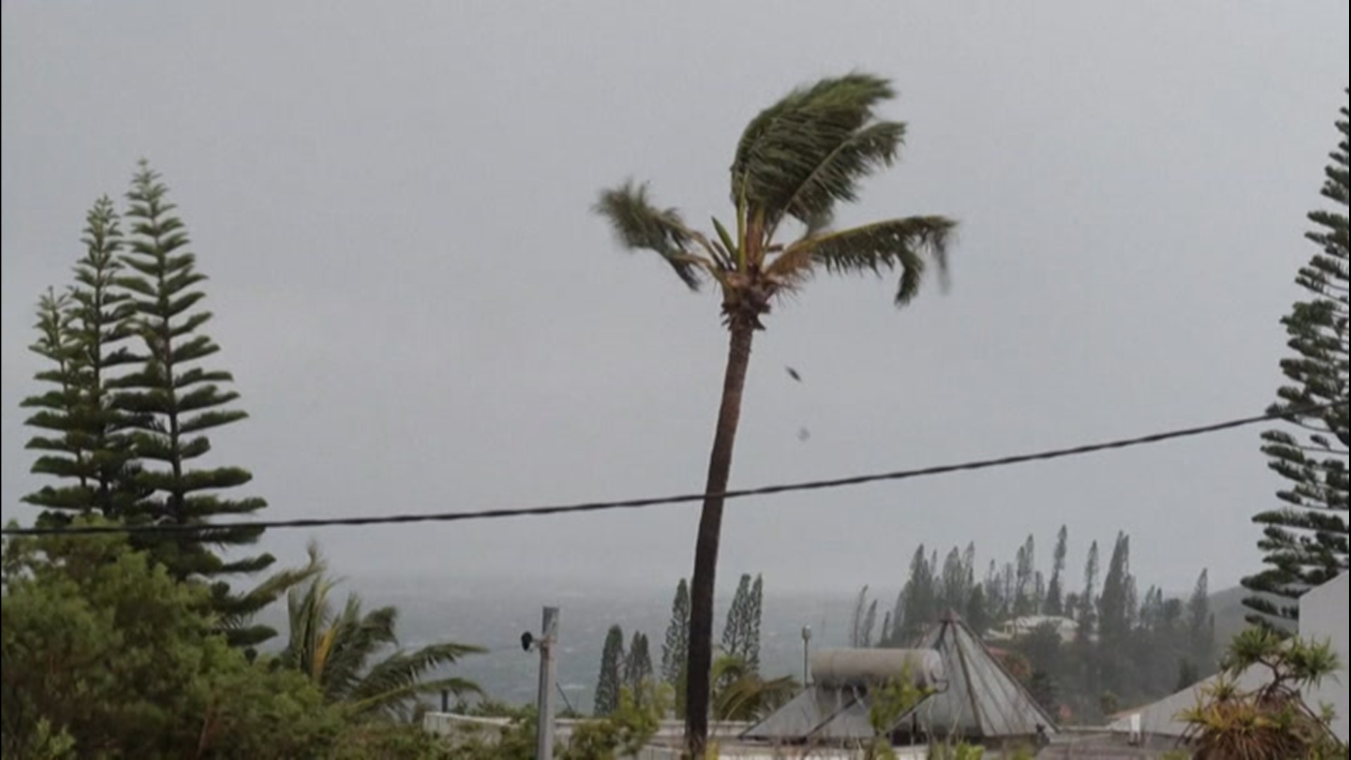 New Caledonia rocked by Cyclone Niran's strong winds | wfaa.com