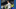 Tunisia coach Hervé Renard open to staying on with national team after ...