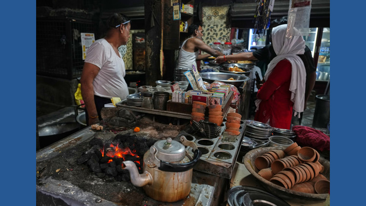 Energy shock ripples through kitchens, forests and conservation in ...