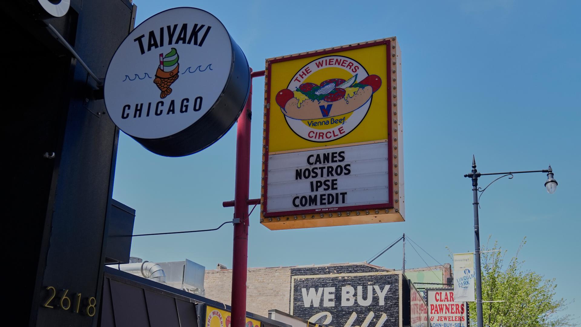 Chicago celebrates hometown pope with endless memes and jokes | wfaa.com