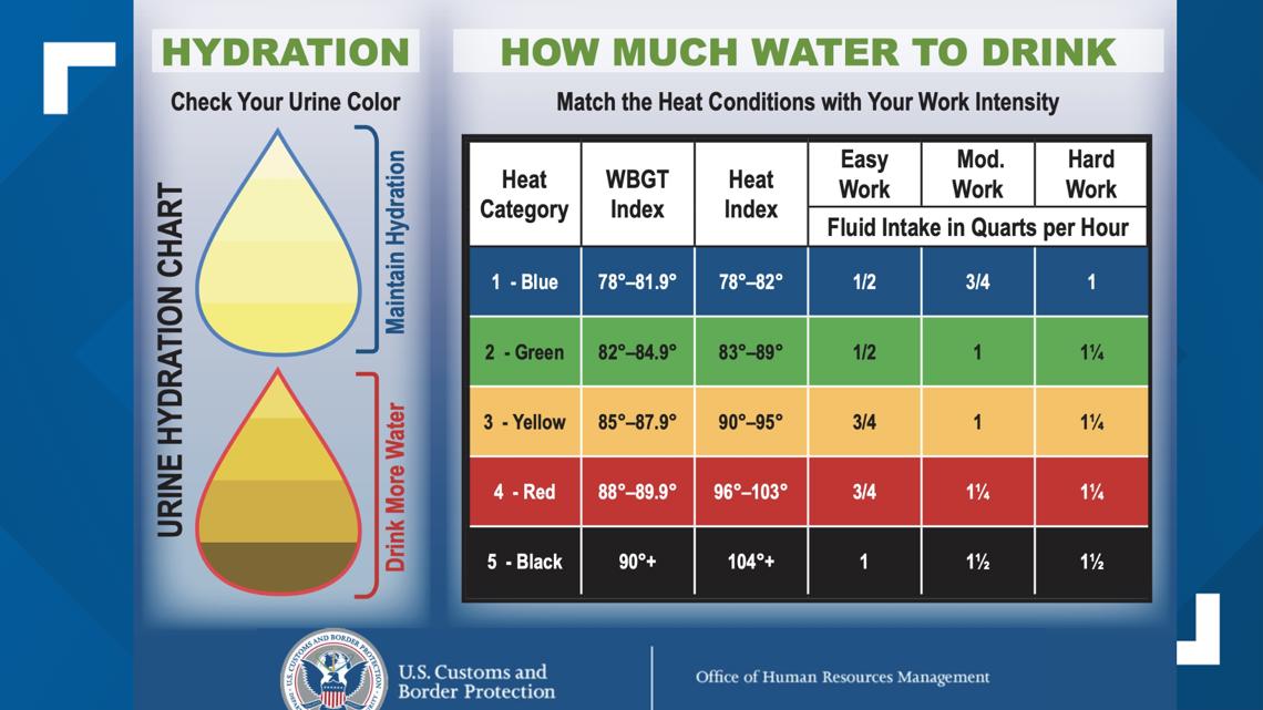 What the color of your pee can say about your hydration | wfaa.com