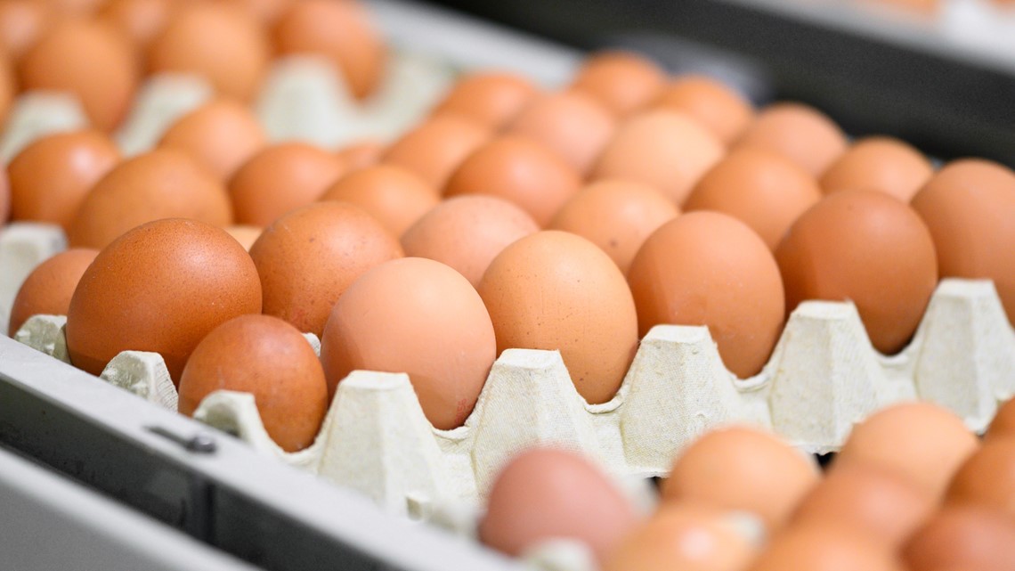 Bird flu detected at Cal-Maine facilities in Texas, Michigan | wfaa.com