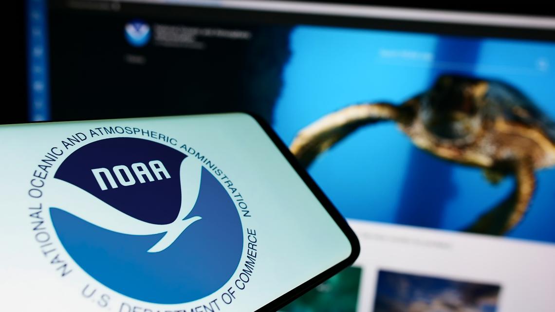 Chuy's locations in Dallas, Texas: Knox area restaurant moving | wfaa.com