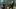 Jane's Addiction bandmates sue each other after 2024 onstage fight ...