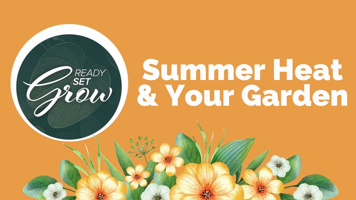 Ready, Set, Grow | Summer heat and your garden | wfaa.com