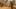 Thousands ordered to evacuate as Southern California wildfire threatens ...