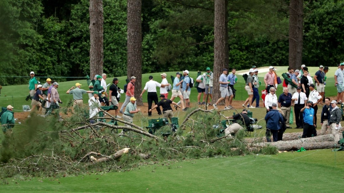 The Masters Grinds to a Halt After Massive Pine Trees Topple Over and ...