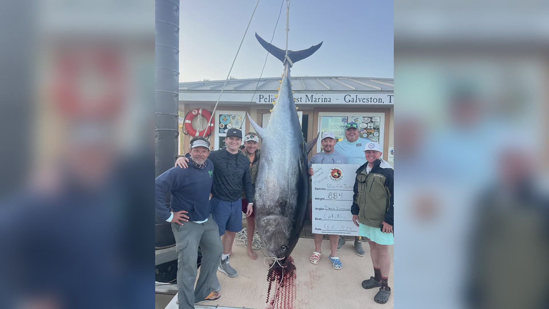 Port Arthur man hauls in record breaking 884 pound Bluefin Tuna | wfaa.com