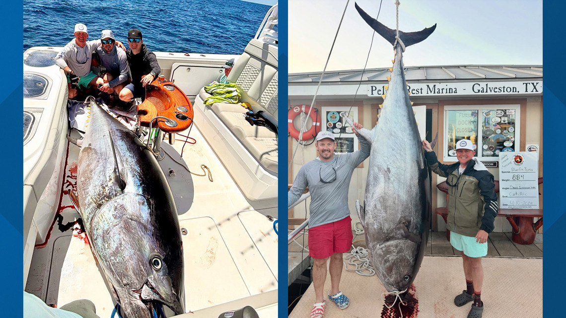 Port Arthur man hauls in record breaking 884 pound Bluefin Tuna | wfaa.com