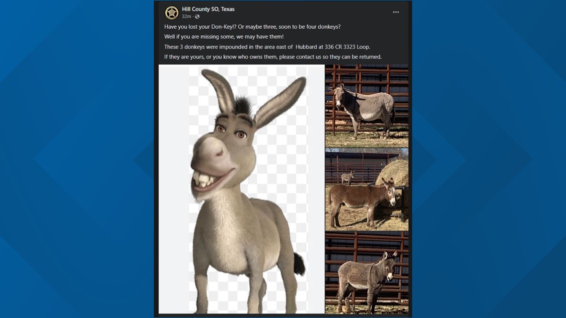 Lost Donkeys in Hill County | wfaa.com