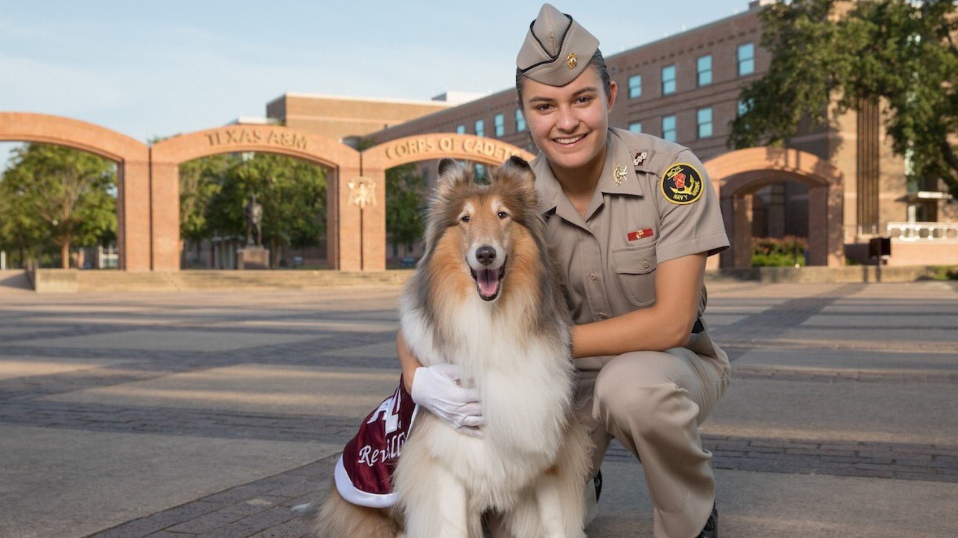 Texas A&M: Mascot Reveille X recovering after eye surgery | wfaa.com