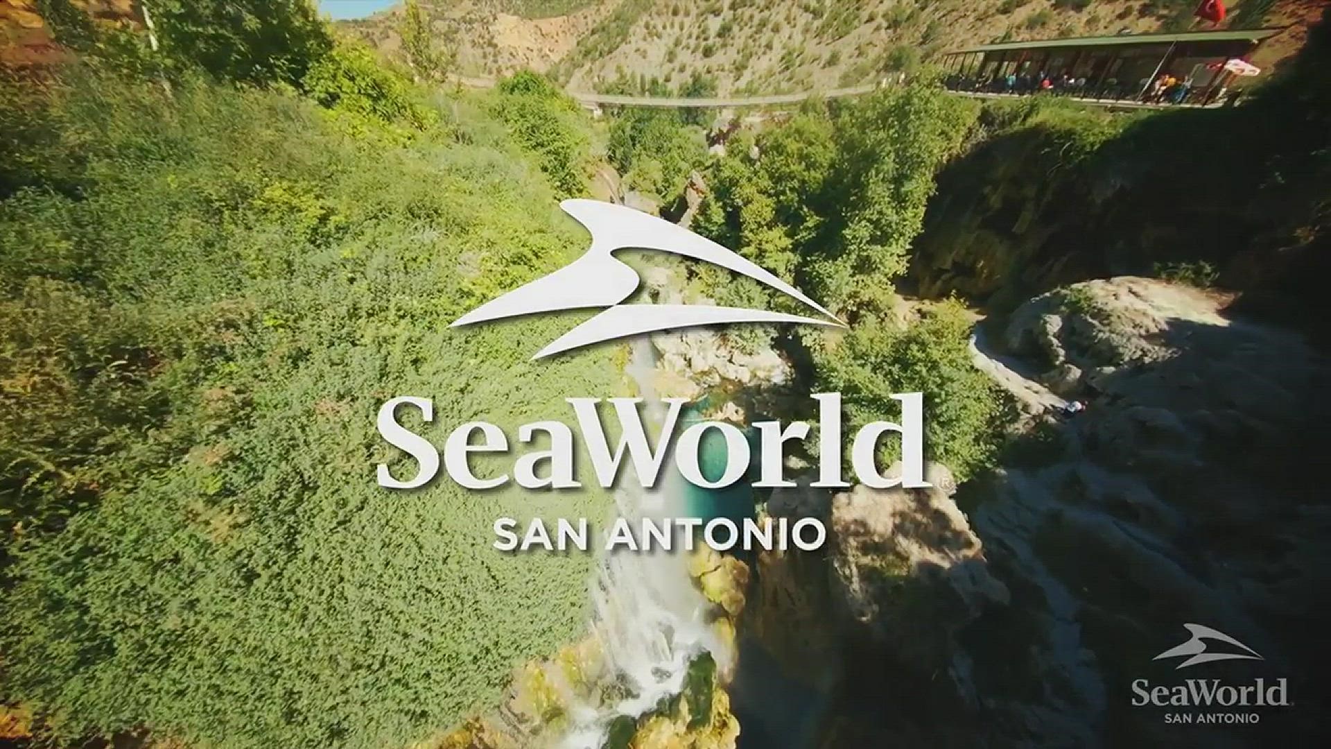 Catapult Falls opens in 2023 at SeaWorld San Antonio | wfaa.com