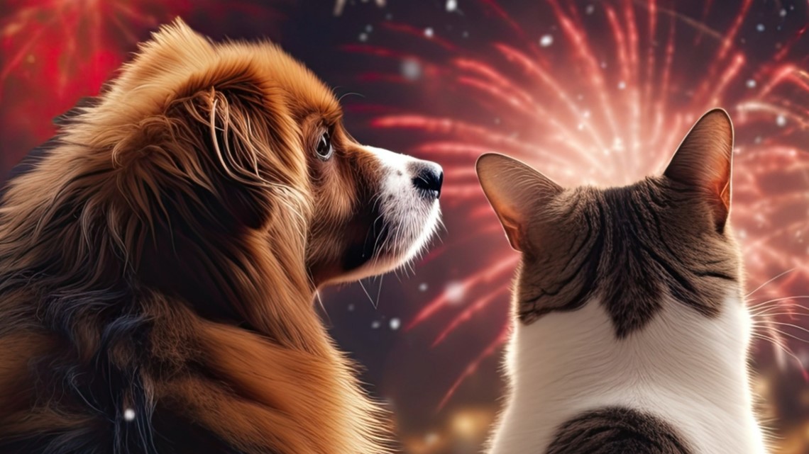 Tips to keep your pets safe during fireworks | wfaa.com