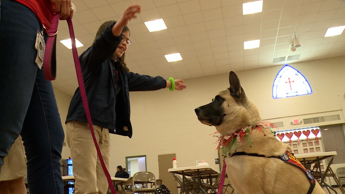 'They make you feel happy': How therapy dogs are helping a Uvalde ...