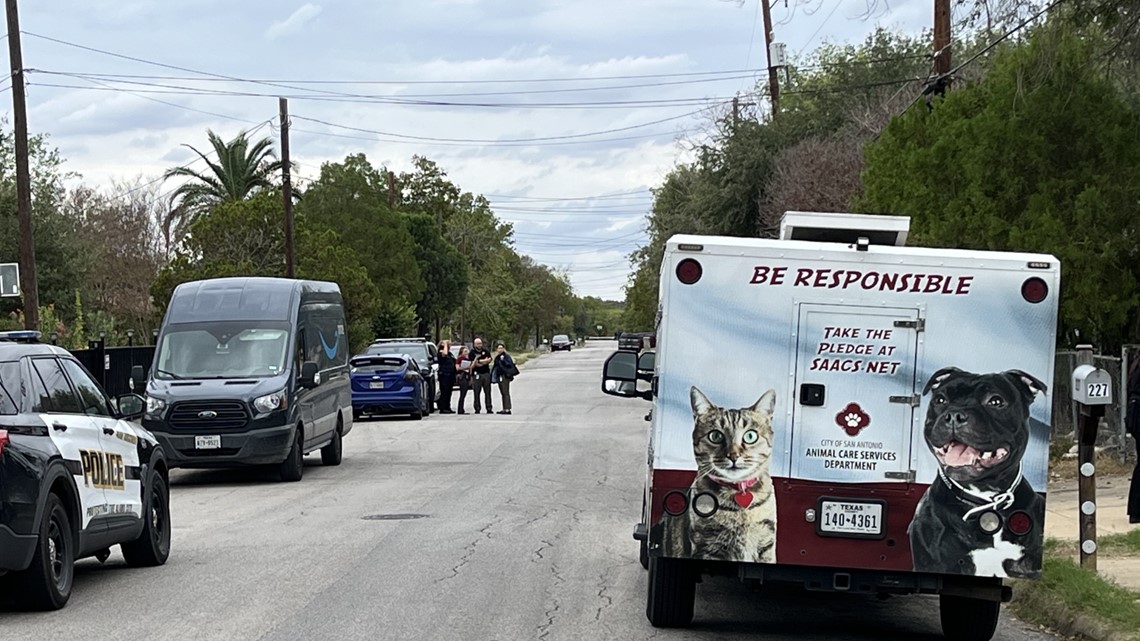 Amazon delivery driver attacked by dog in San Antonio, police say ...