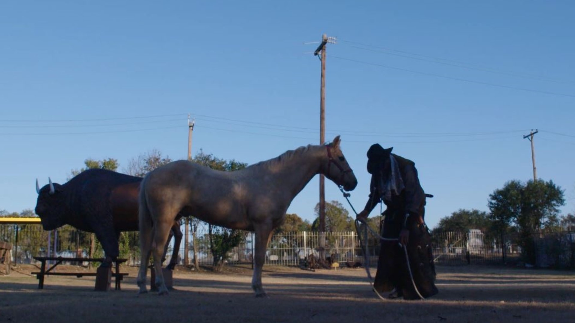 Telling the untold story of America's Black cowboys | Together We Rise ...