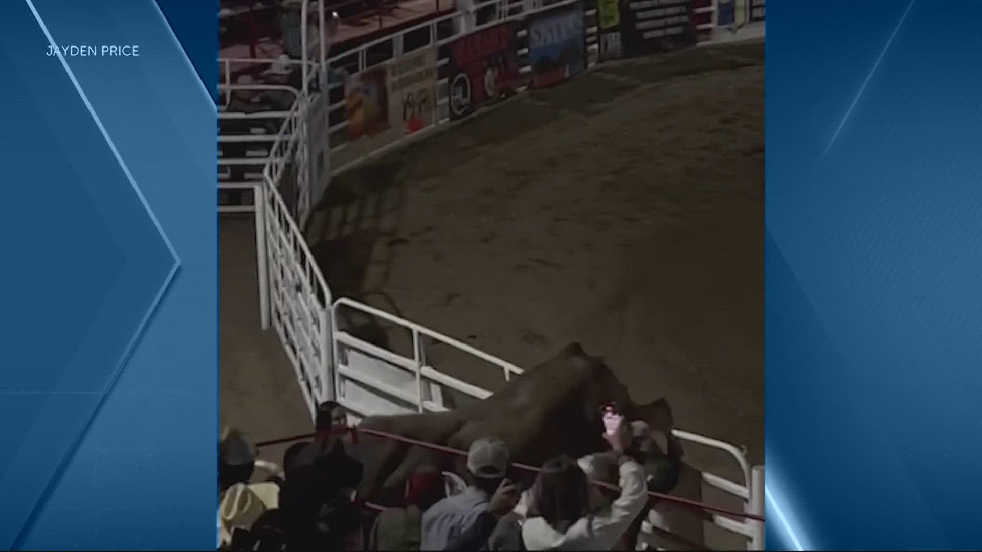 Bull hops fence at Oregon rodeo, injuring 3 | wfaa.com
