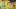 North Texas-based Frito-Lay releases new Super Bowl ad highlighting the ...