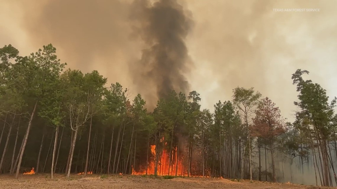 Game Preserve Fire: Evacuations lifted near Huntsville wildfire | wfaa.com