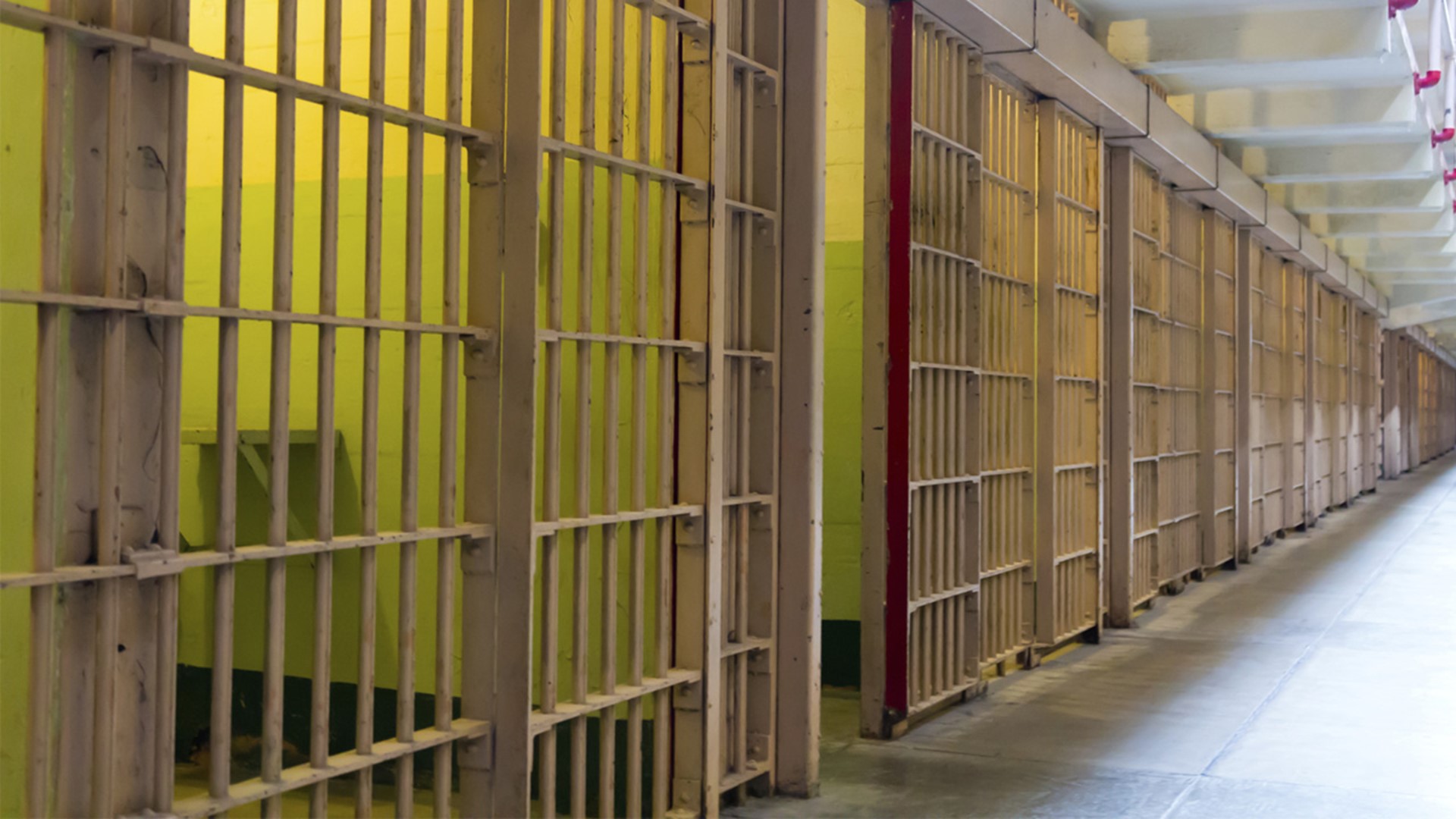 Texas Tech professor charged in federal fentanyl distribution case ...