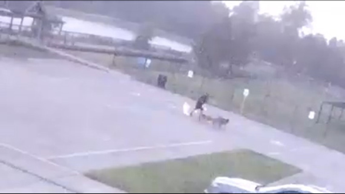 Video captures moment man was struck by lightning while walking dogs ...
