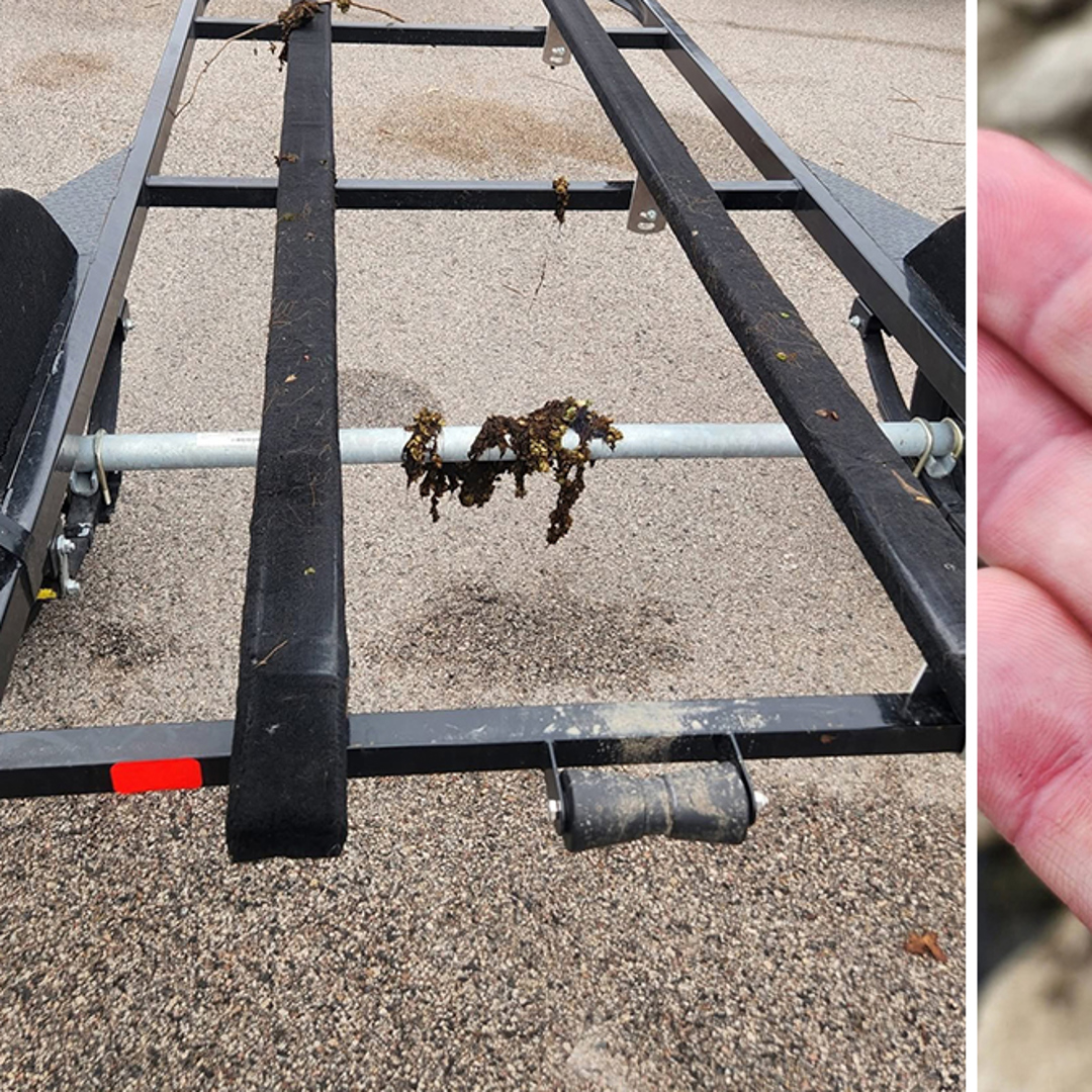 Texas Game Wardens have a warning after what was found on boater's ...