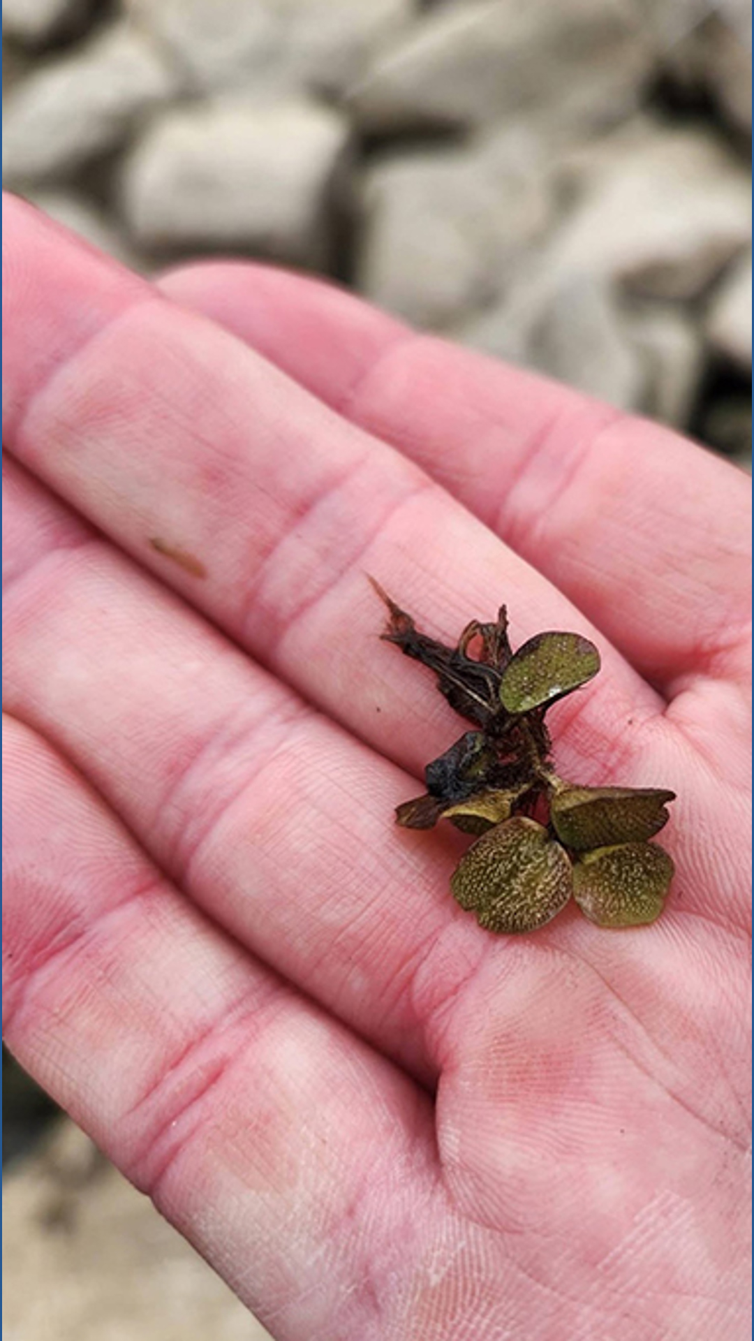Texas Game Wardens have a warning after what was found on boater's ...