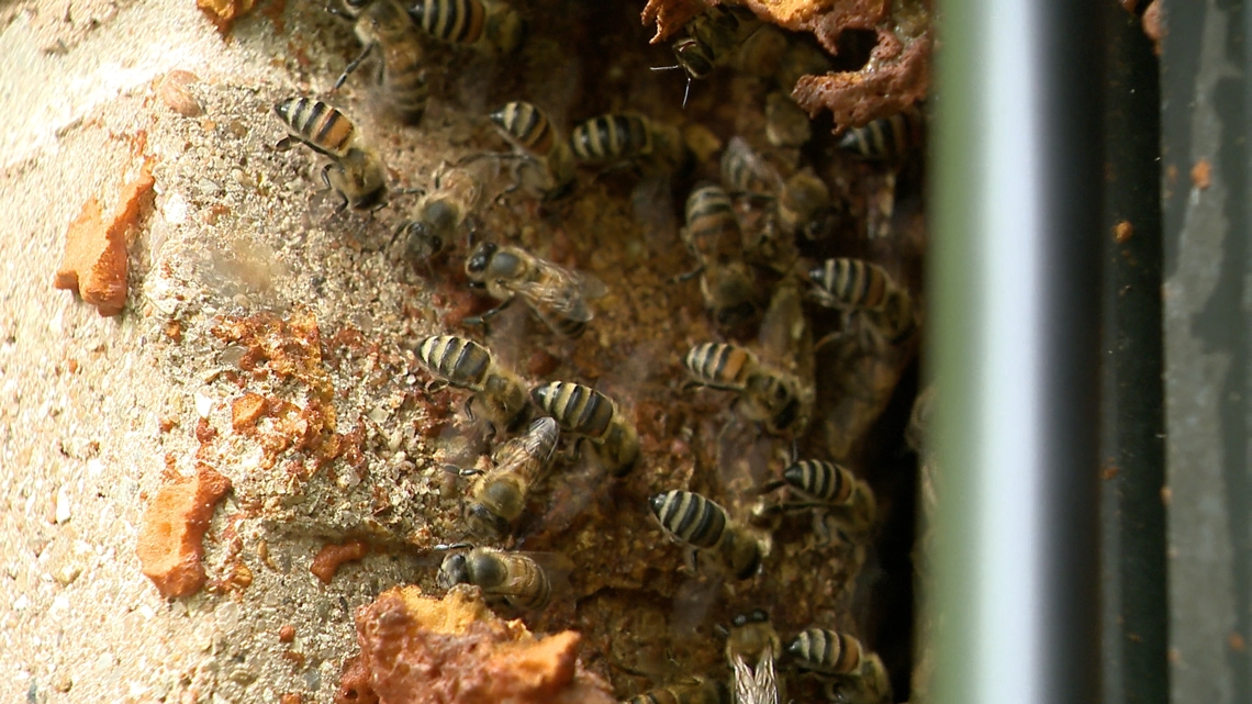 News 8's Shelly Slater transitioning from anchor role | wfaa.com