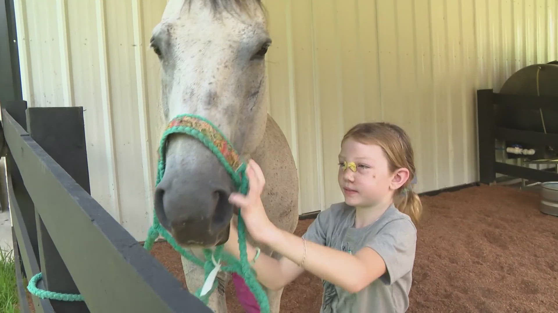 Young Texas rider perseveres after horse accident | wfaa.com