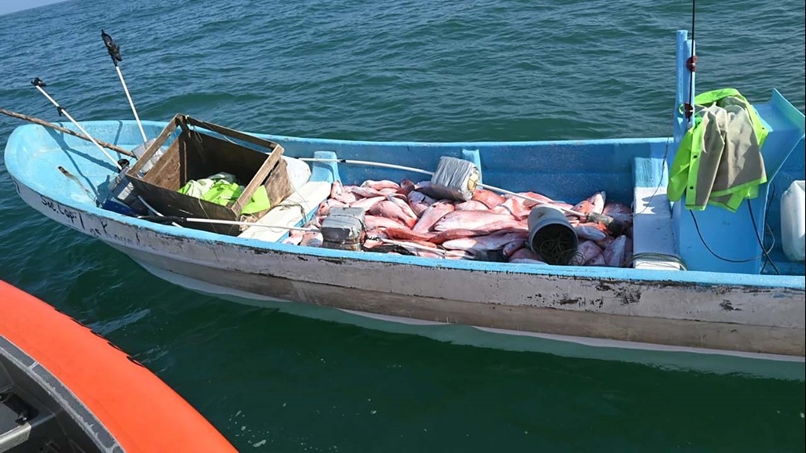 Coast Guard: 20 people caught illegally fishing in Gulf of Mexico ...