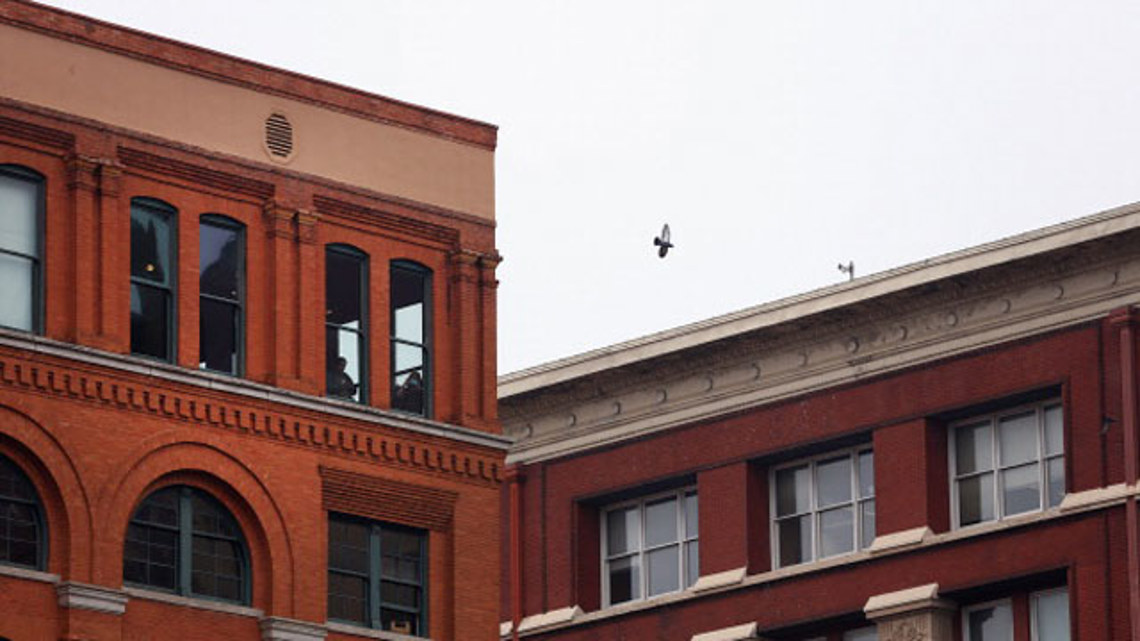 Sixth Floor Museum on assassination of President John F. Kennedy in ...