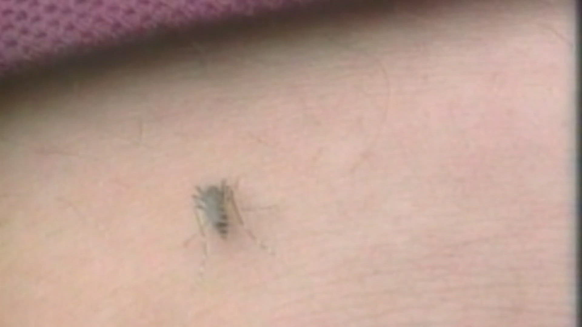 West Nile virus in Missouri: 3 killed, 15 hospitalized | wfaa.com