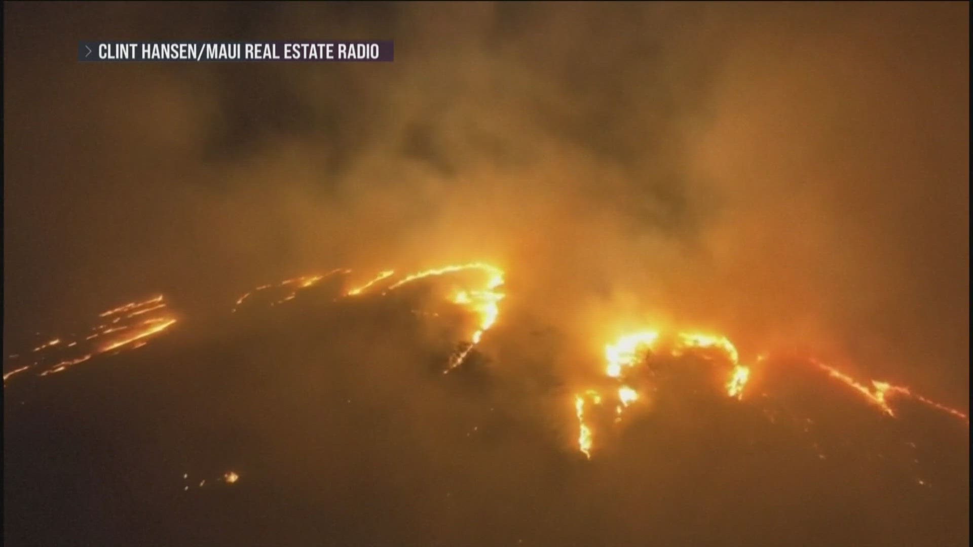 Environmental toll from Maui fires will last for years | wfaa.com