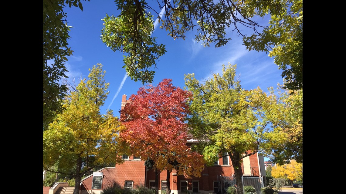 9 awesome walks to see fall colors in and around Denver | wfaa.com