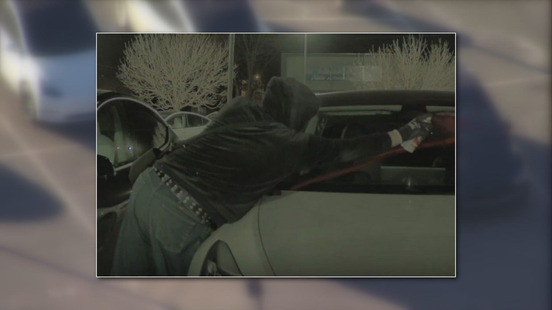 Suspect arrested in vandalism of Colorado Tesla dealership | wfaa.com