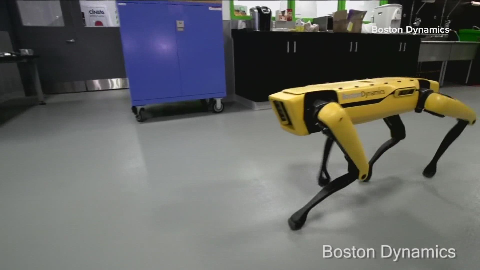New dog-like delivery robots coming to University of Texas campus ...