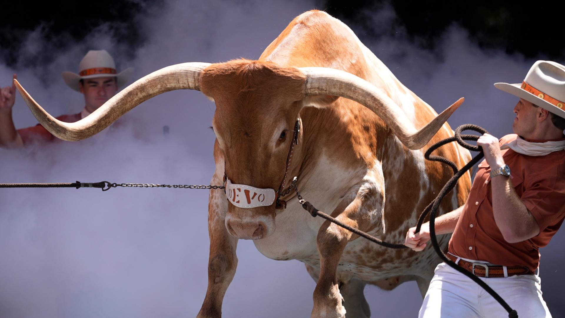 Chick-fil-A Peach Bowl bans Texas Longhorns' Bevo from stadium ...