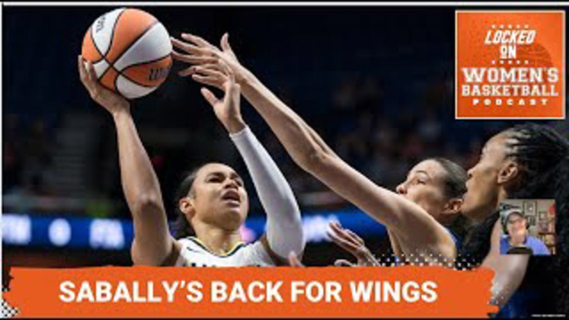 Dallas Wings president Greg Bibb provides updates, outlines WNBA vision ...