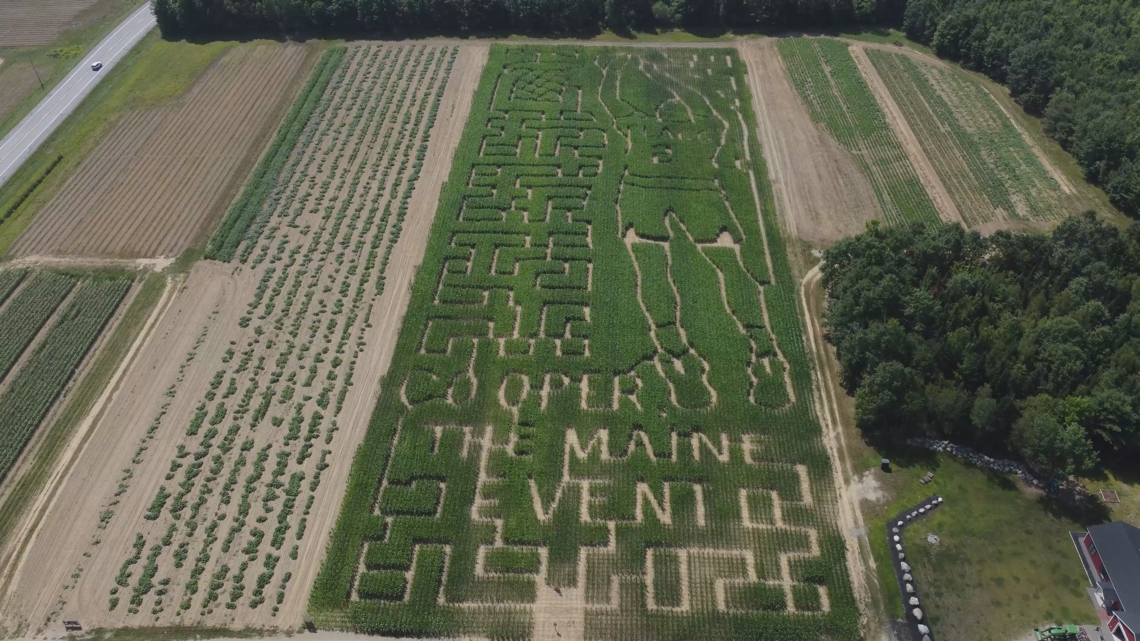 Cooper Flagg corn maze: Maine farm honors Dallas Mavericks rookie ...