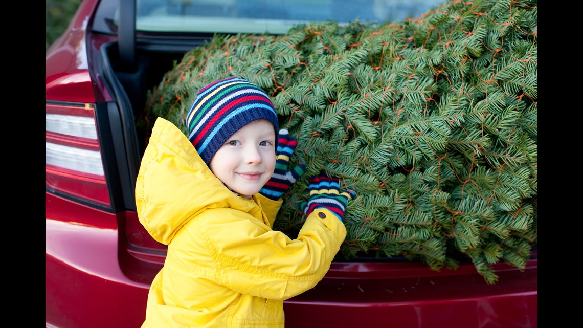 How to transport your Christmas tree the right way | wfaa.com