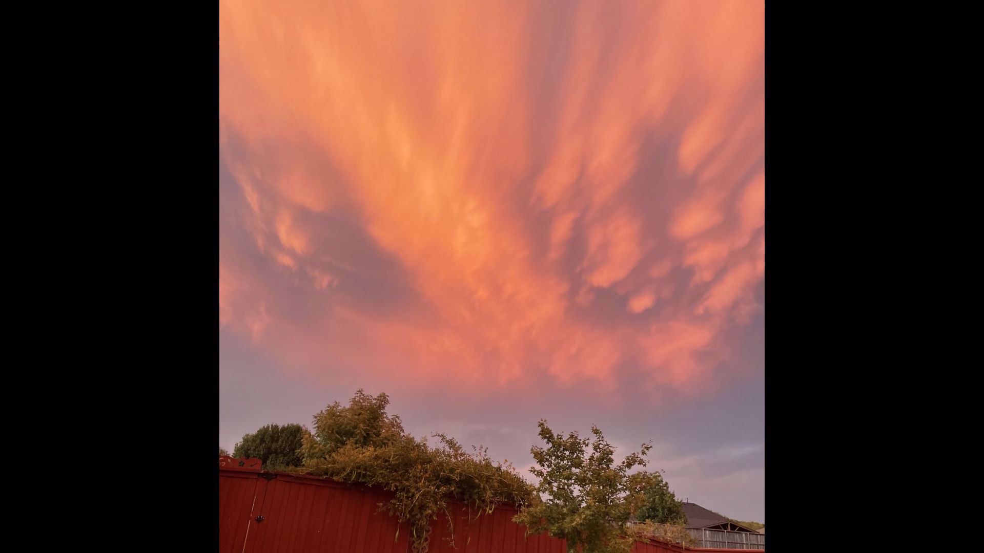 Gallery: Beautiful sherbert-colored skies in North Texas | wfaa.com