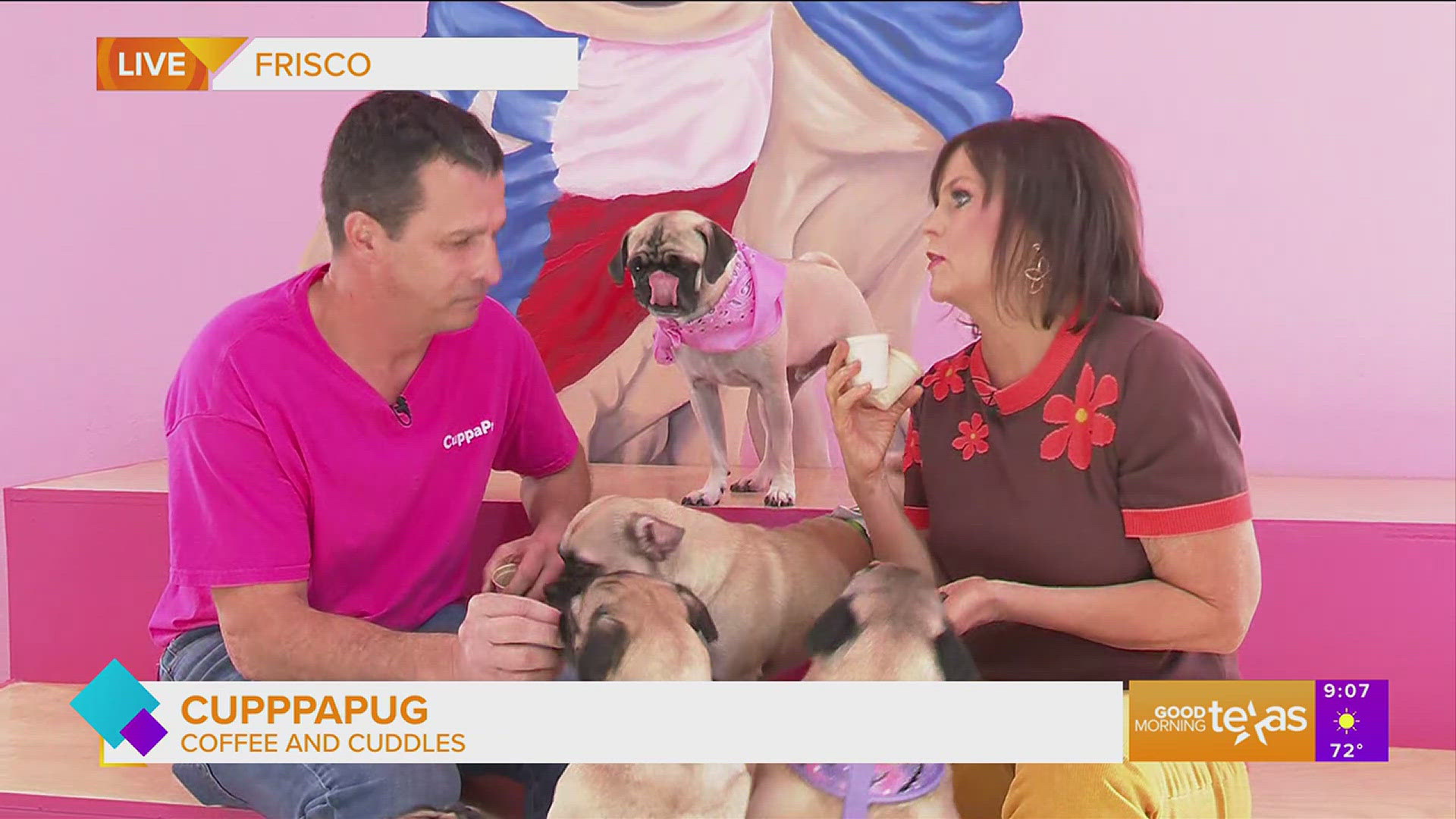 Coffee and cuddles at Cuppapug | wfaa.com