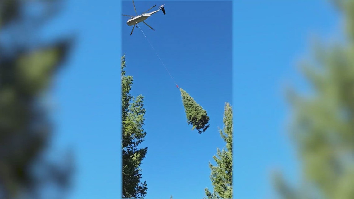 How Santa's helpers are prepping for the holiday season across North ...