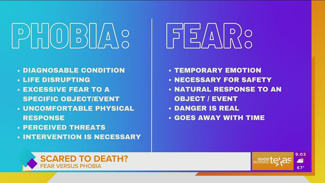 Fear VS. Phobia and How to Overcome It | wfaa.com