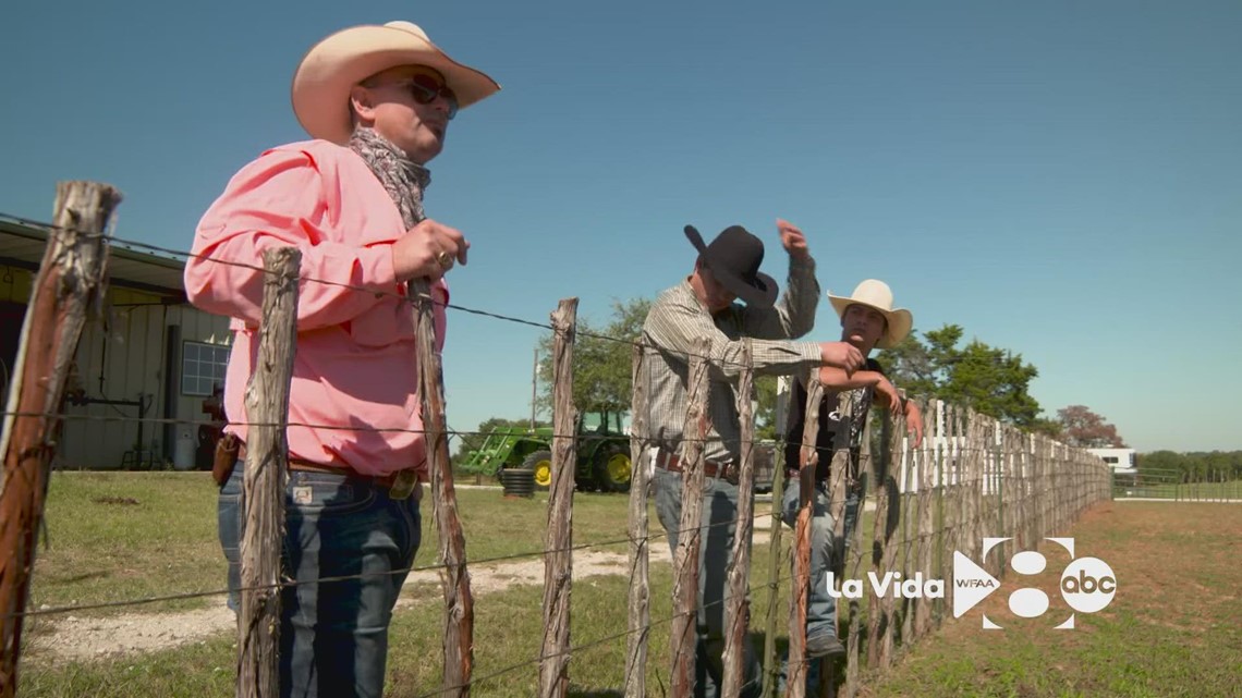 How the best Brazilian bull riders ended up in a small North Texas town ...