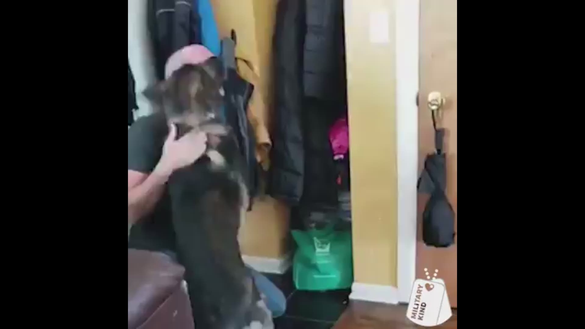 Watch the adorable reunion of a dog and his human returning from ...