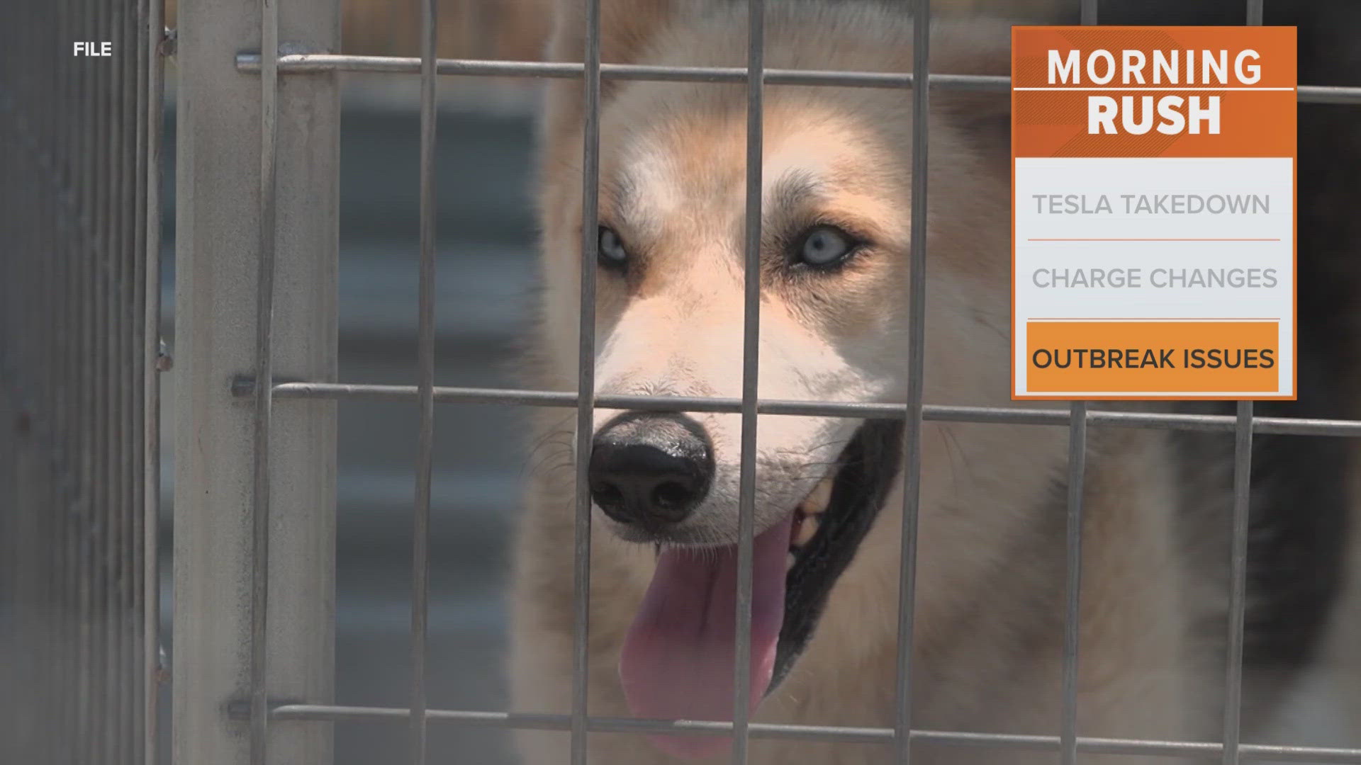 Fort Worth, Texas man killed in accidental shooting at gun range ...