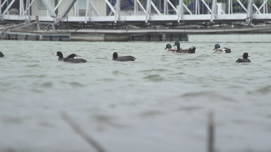 Can Lake Lavon maintain its water supply? | wfaa.com
