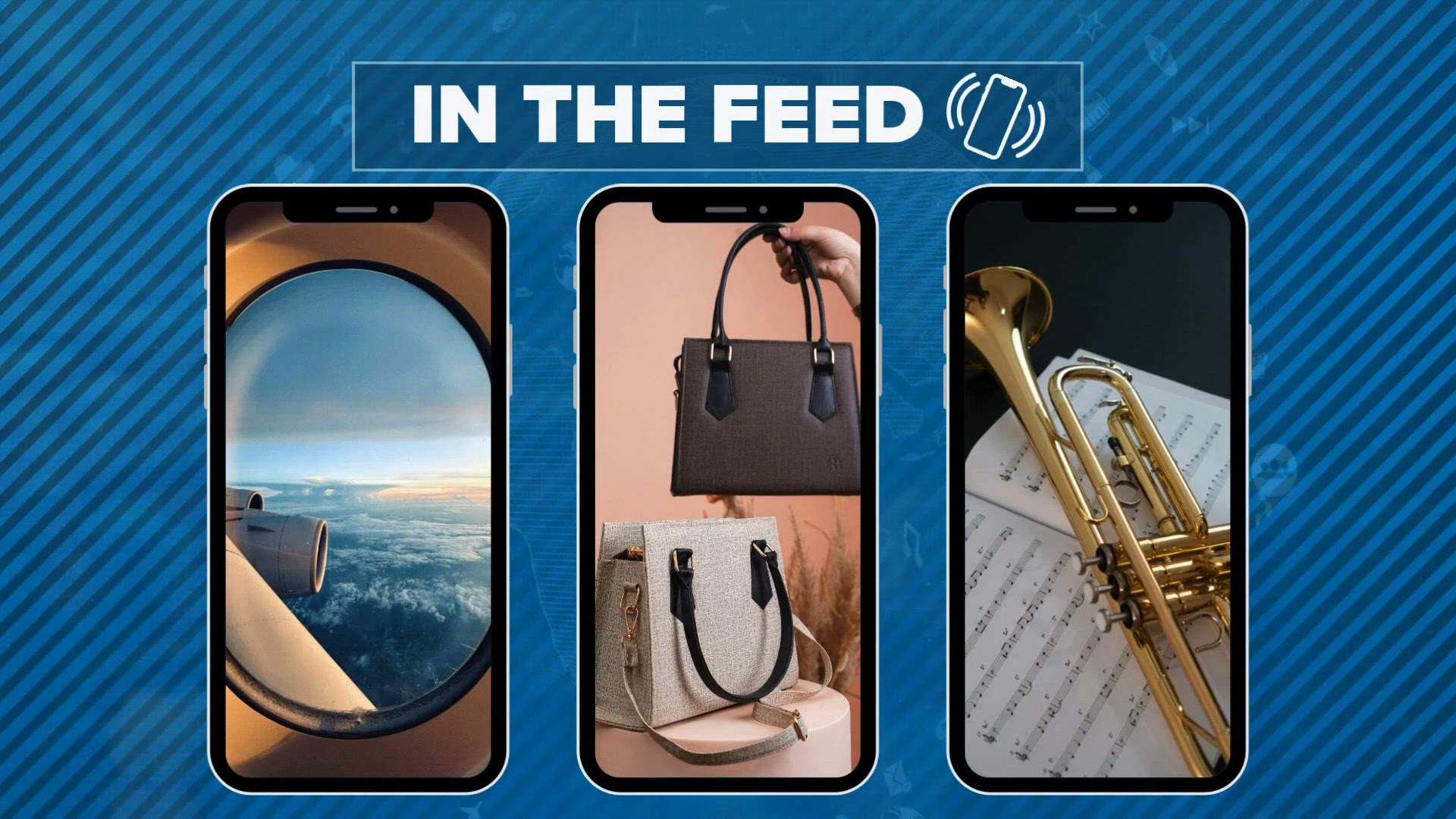 In the Feed: First-class kid, slimy surprise, and King's trumpet | wfaa.com